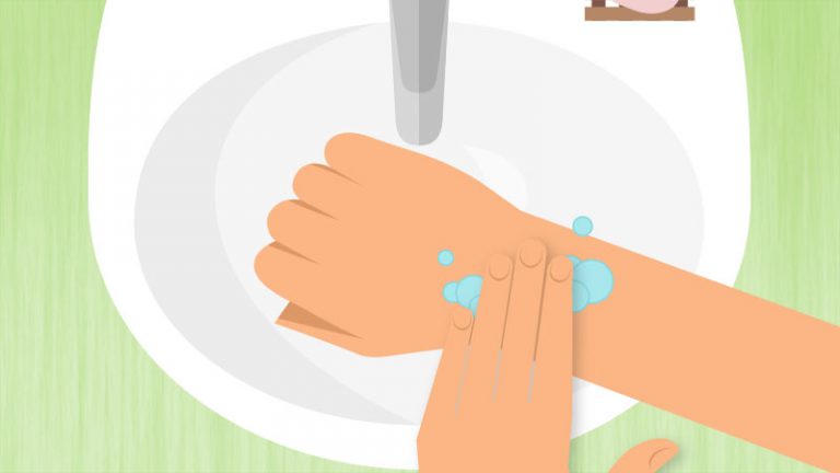 Tick Talk | How to Safely Remove a Tick