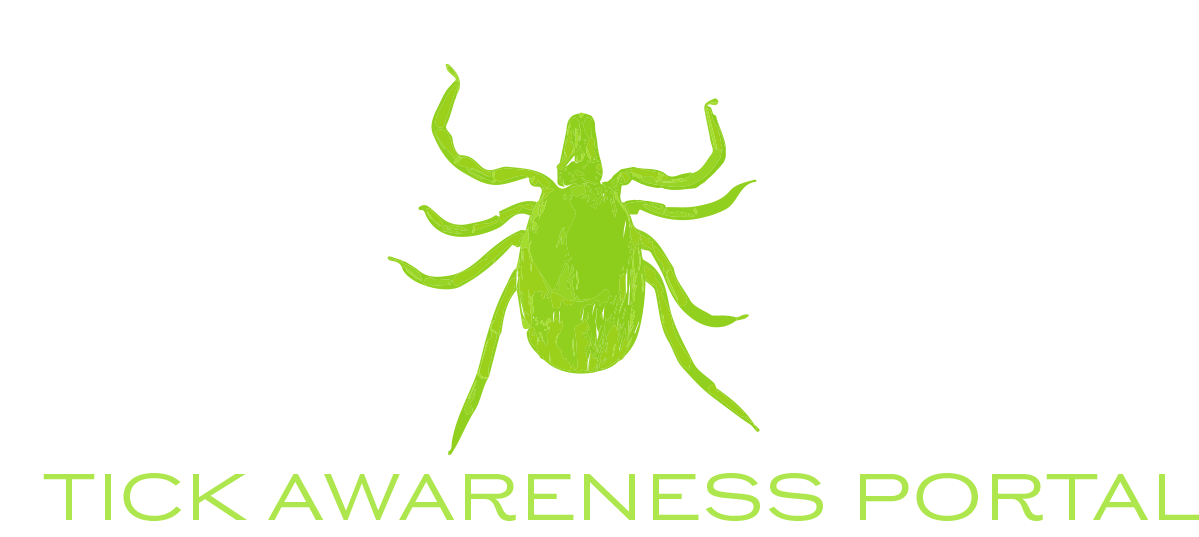 Talk N Text Logo Png