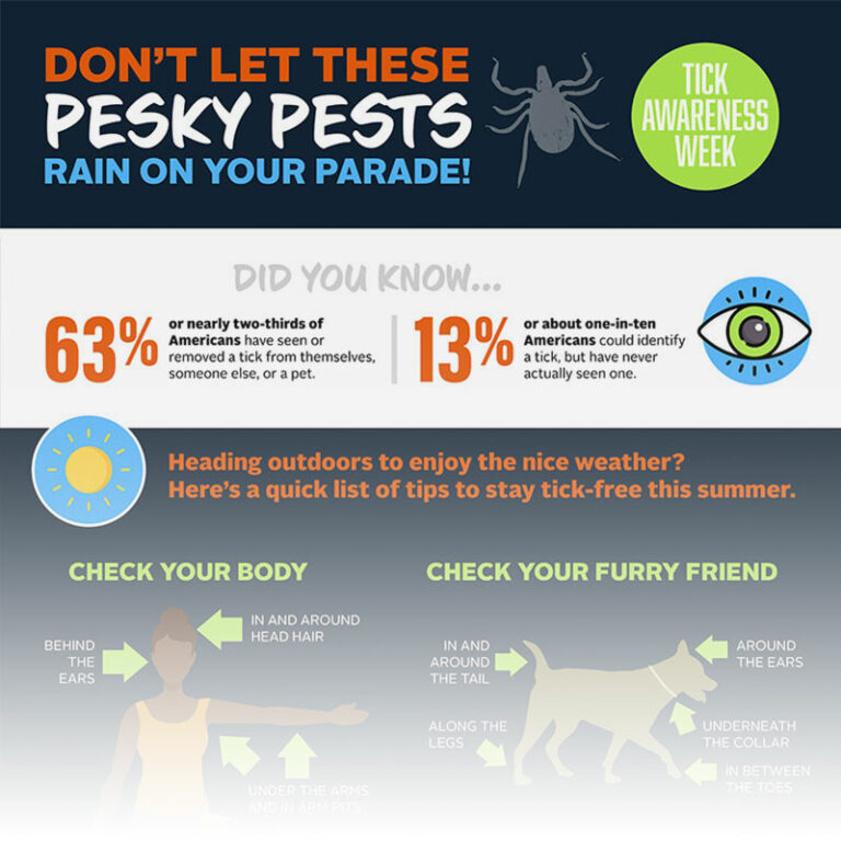 Tick Talk | Infographics about Tickborne Disease and Removing a Tick